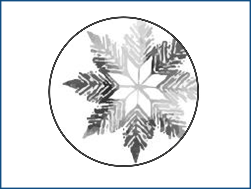 10 MILLIARDS | FALLAIT-IL VRAIMENT LES INVITER ? La « snowflakes ...